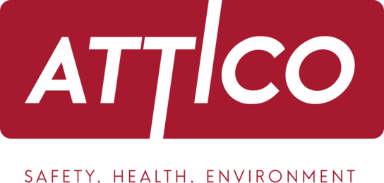 Our Team | Attico Consulting